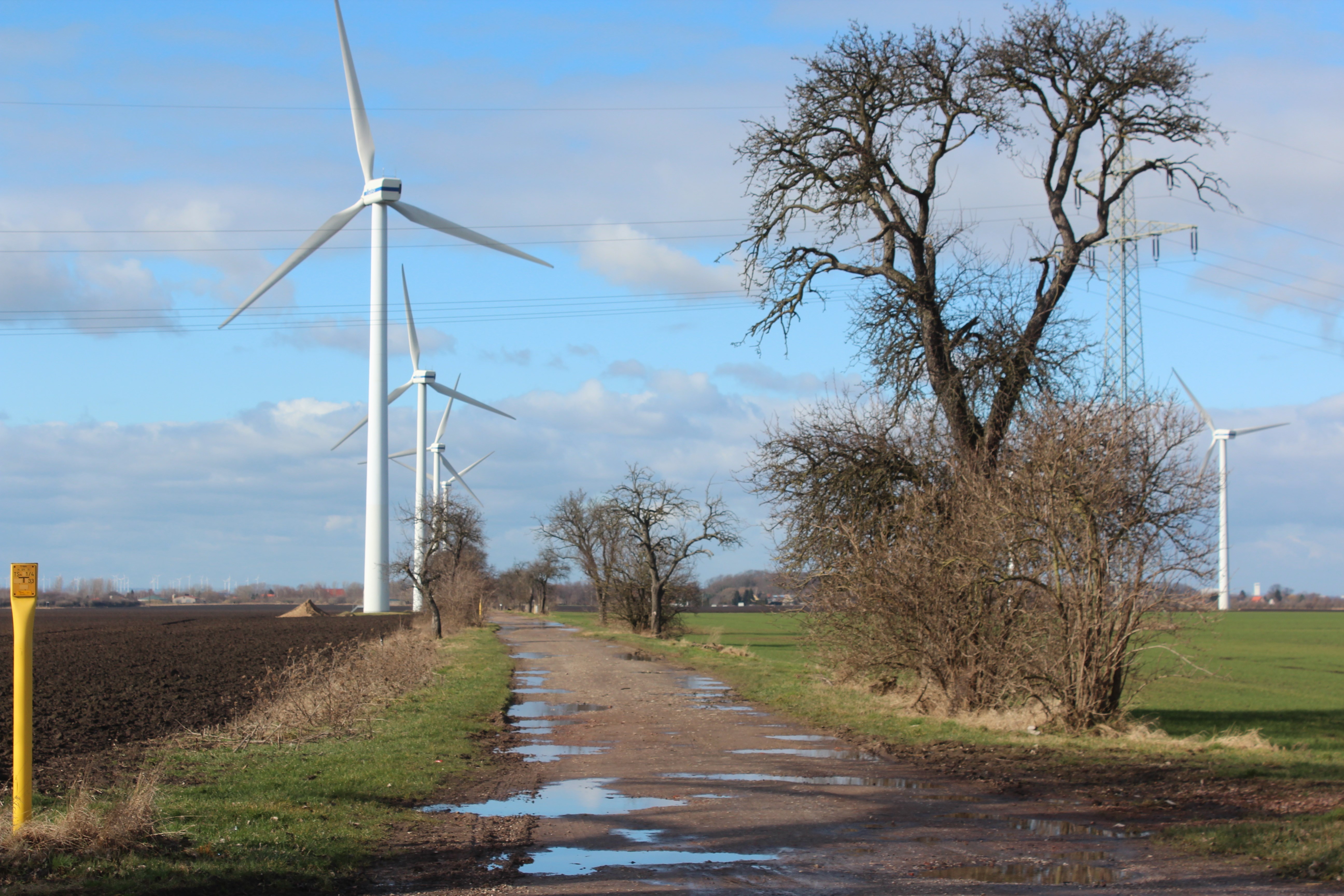 Projekt: Repowering Windpark Wörbzig